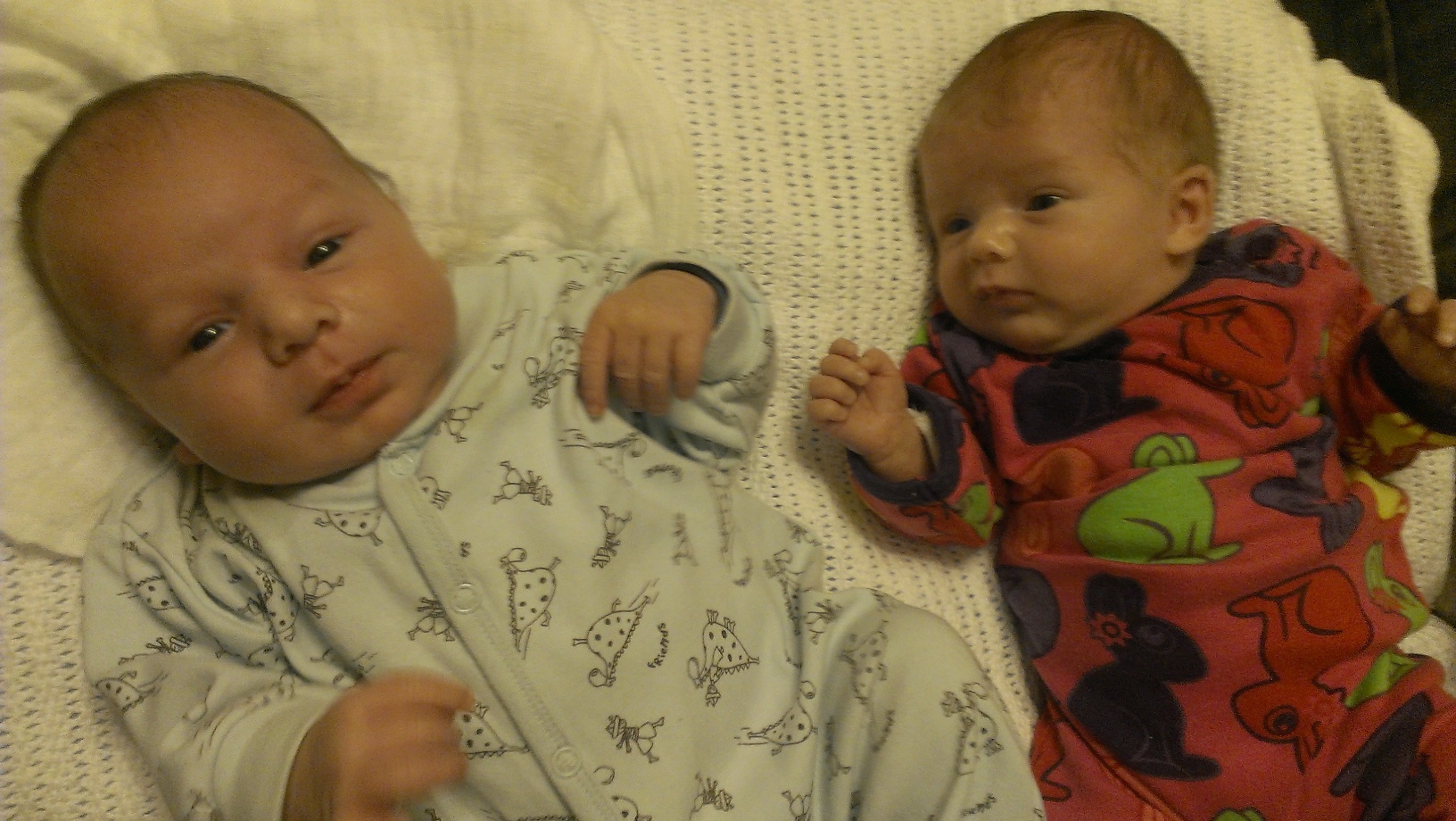 Norwegian Babies - NEW LIFE